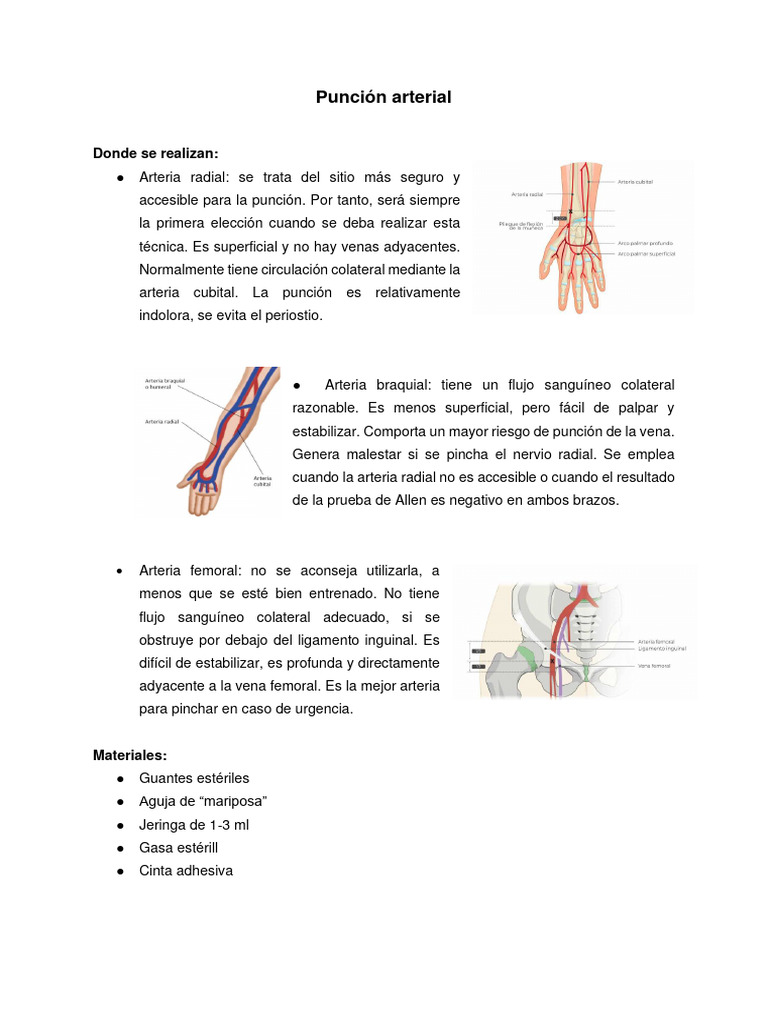 Punción Arterial | PDF | Artería | Sangre