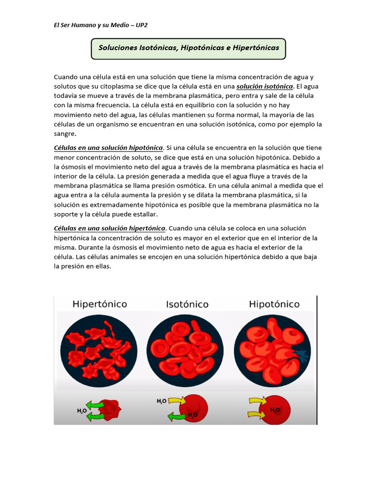 Soluciones Iso, Hipo e Hipertonicas | PDF