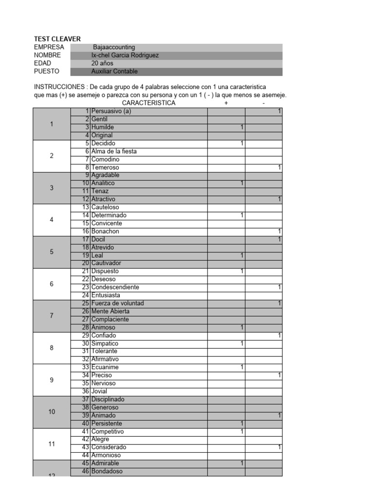 Test Cleaver Personal 3 | PDF