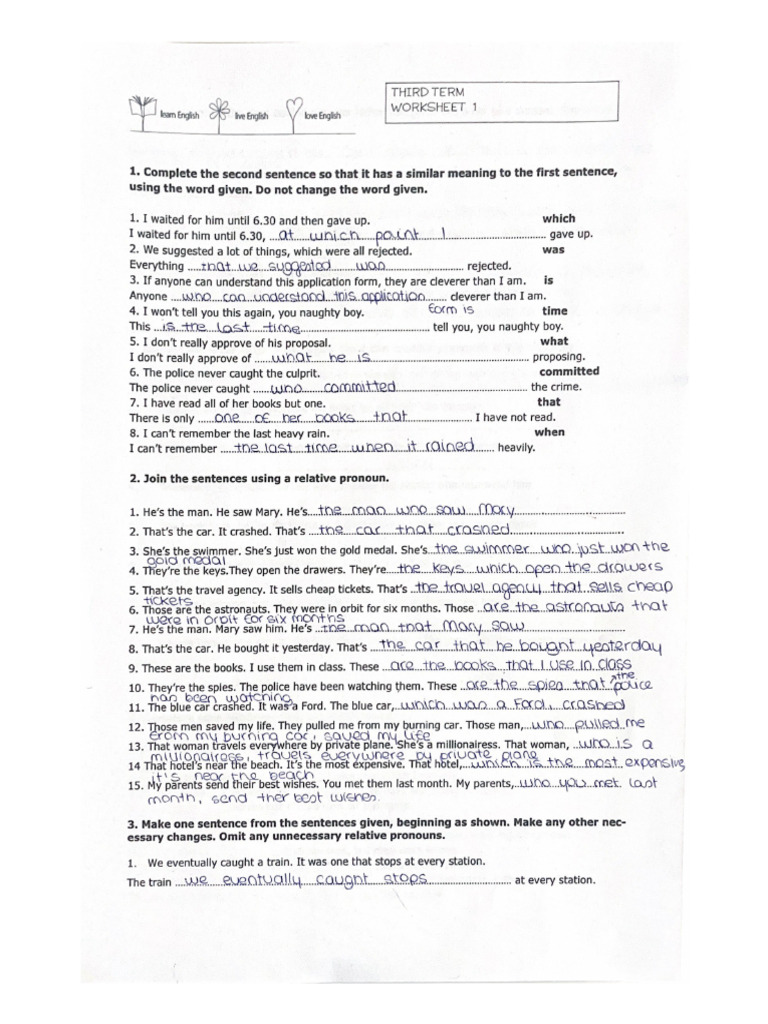 THIRD TERM Worksheet 1 | PDF
