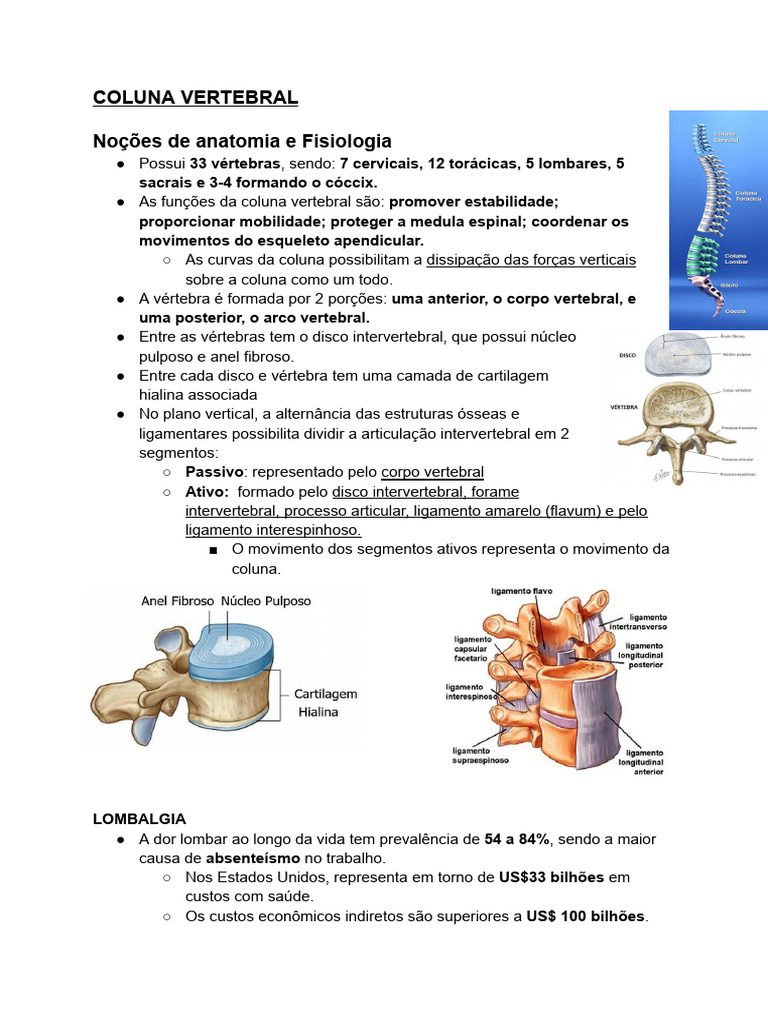 Anatomia da Coluna e Lombalgia | PDF | Coluna vertebral | Escoliose