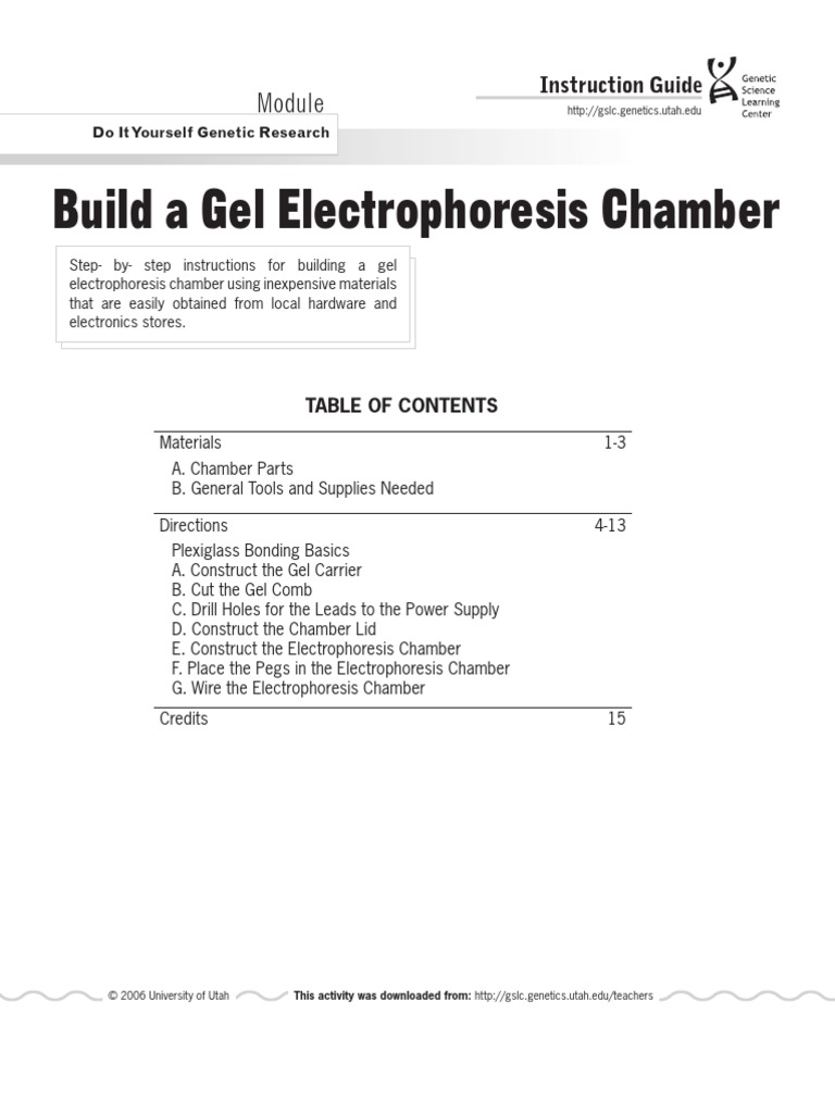 Build A Gel Electrophoresis Chamber | PDF