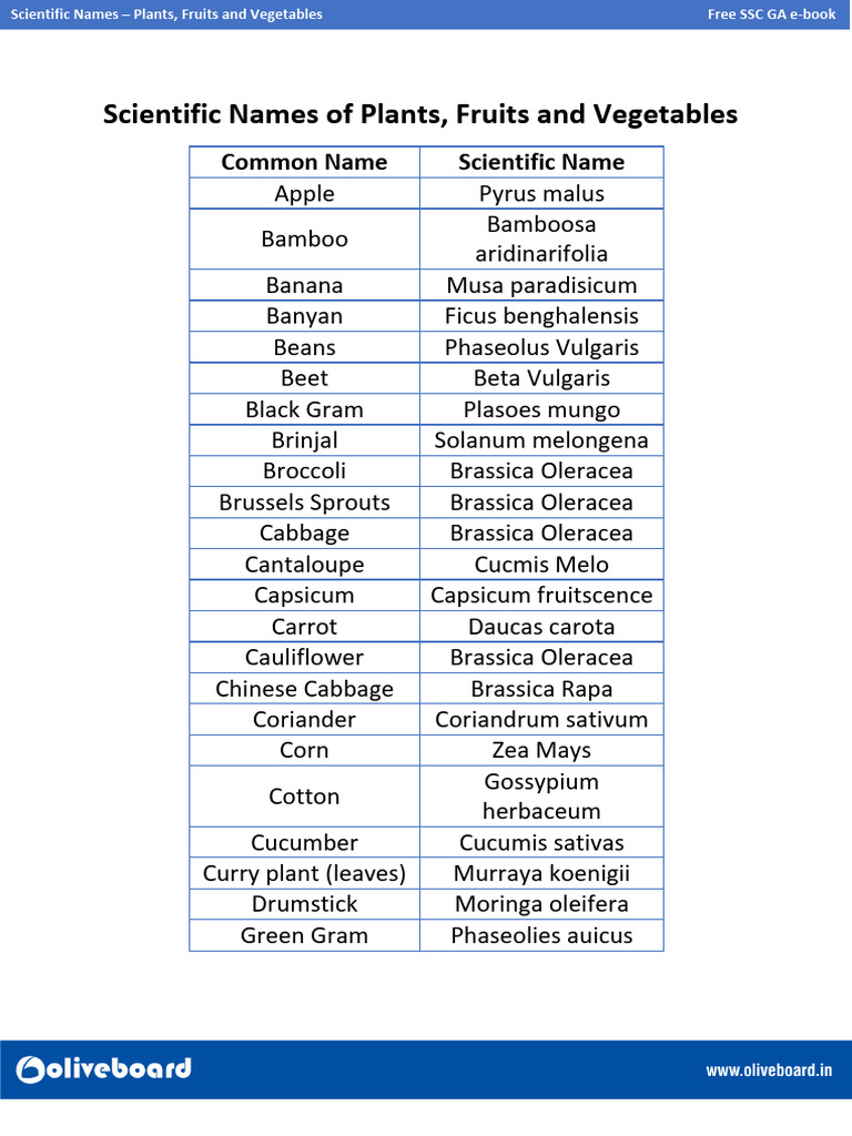 Scientific Names Plants | PDF | Fruit | Vegetables