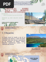 Sopa de Letras de Importancia de La Biodiversidad 2 | PDF | Especies ...