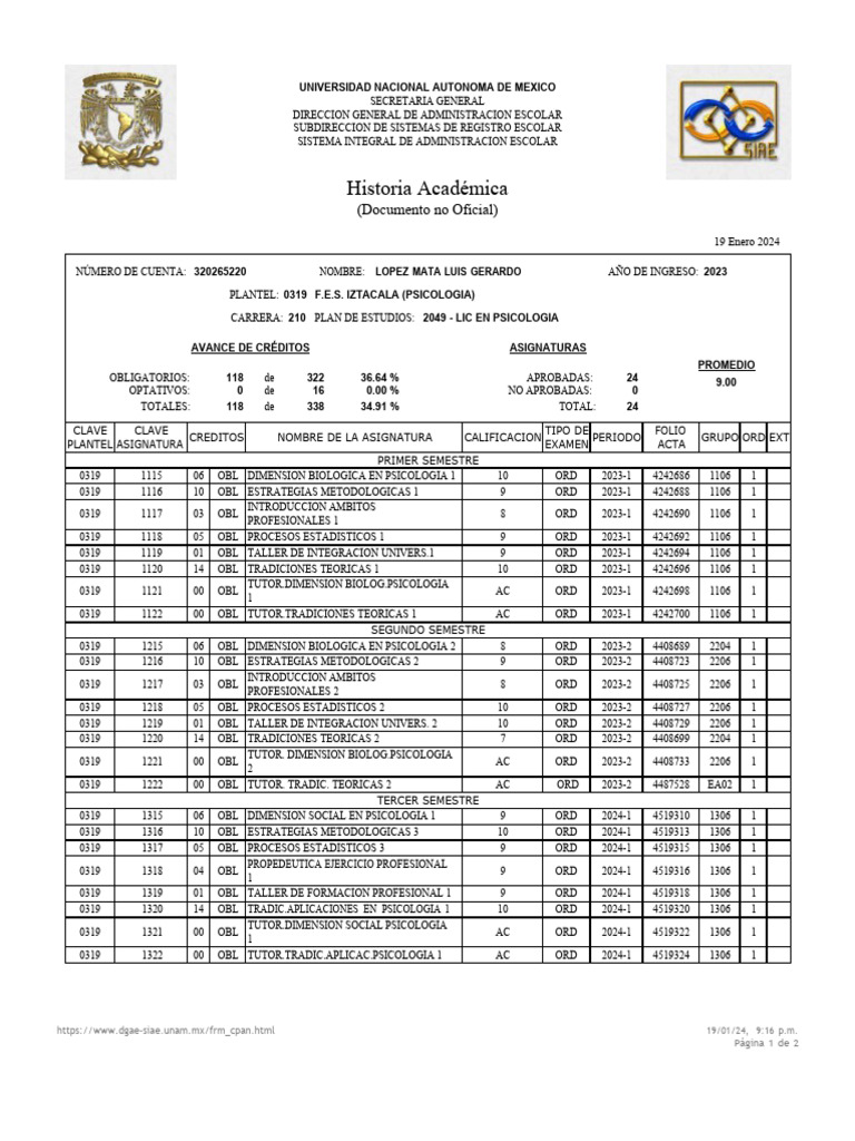 SIAE [Panel de Control] 4 | PDF