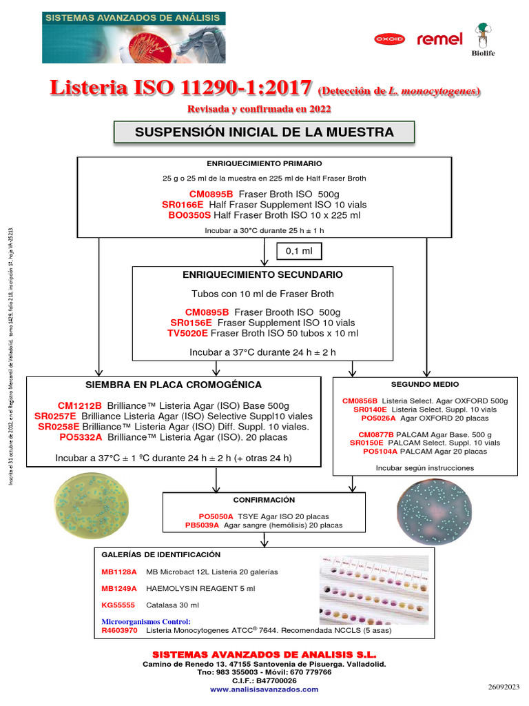 Listeria ISO 11290-1 - 2017 | PDF | Microbiología | Las bacterias