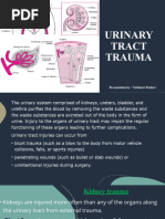 Overview of the Urinary System Anatomy | PDF | Kidney | Urinary System