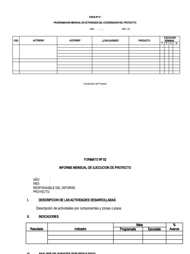 Formatos para programacion, informes | PDF