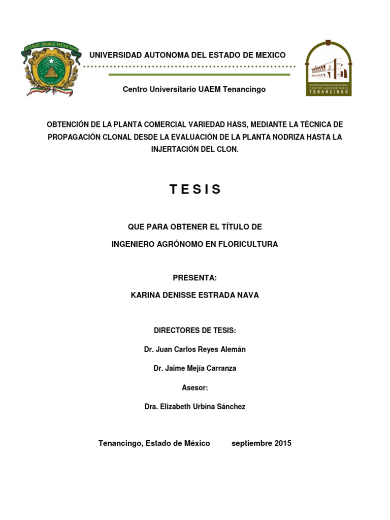 Propagacion Clonal Cut | PDF | Aguacate | Suelo
