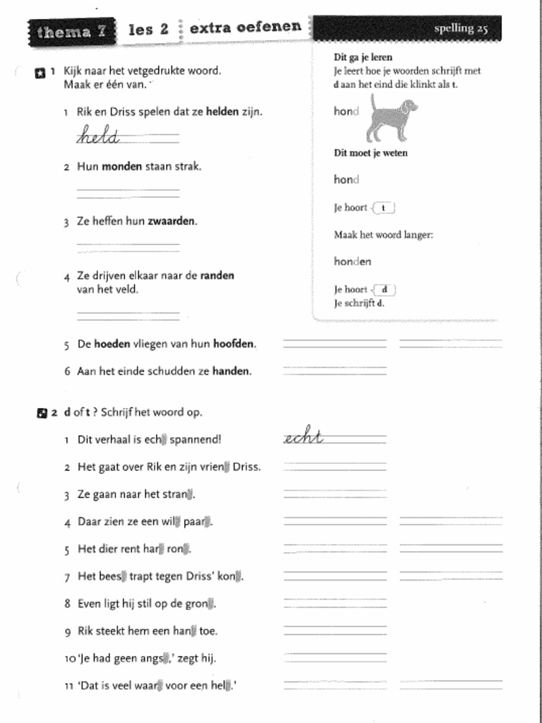 Spelling - Oefenblad - Thema 7 | PDF