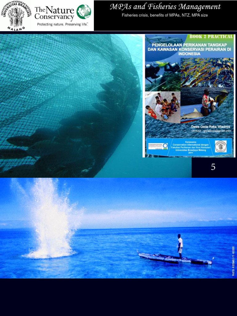 6 MPAs&FisheriesManagement | PDF | Environmental Social Science ...