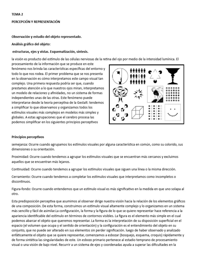 Tema 2 Percepcion y Representacion | PDF | Color | Perspectiva (Gráfica)
