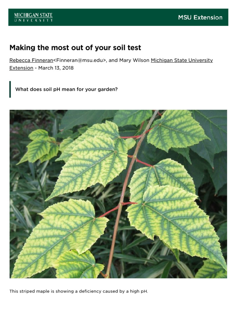 Making The Most Out of Your Soil Test - MSU Extension | PDF | Soil | Ph