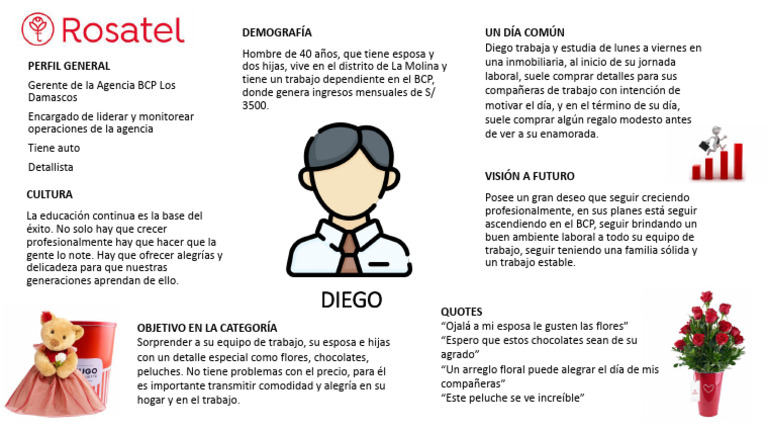 Matriz Diseño Persona | PDF
