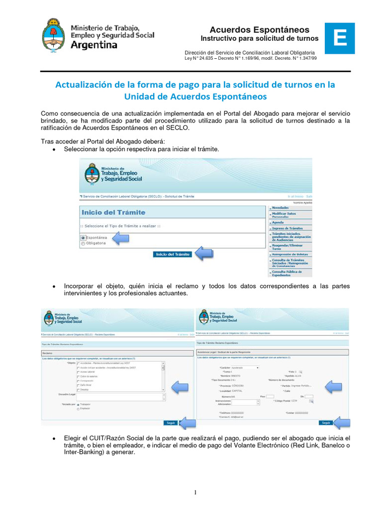 Instructivo Turnos Espontáneas 3 | PDF | Documento de identidad