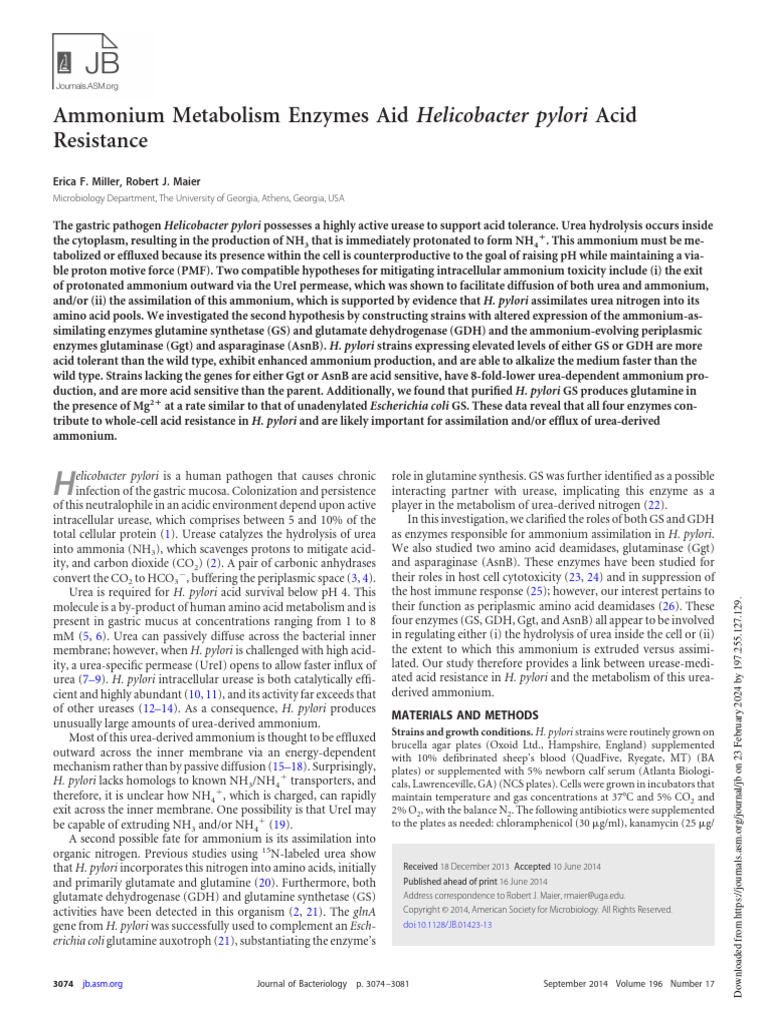 Miller Maier 2014 Ammonium Metabolism Enzymes Aid Helicobacter Pylori ...