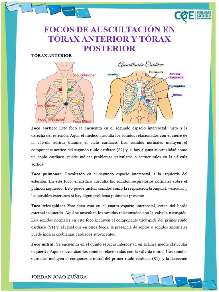 Focos de Auscultación en Tórax Anterior y Tórax Posterior | PDF ...