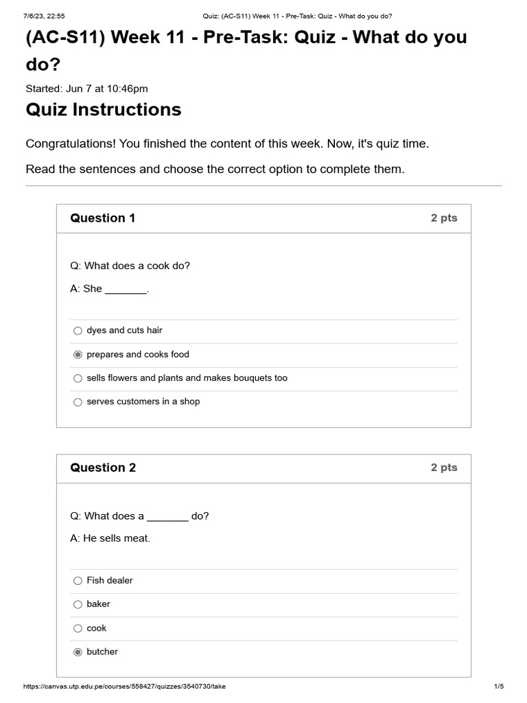 Week 11 Pre-Task Quiz: Job Roles | PDF