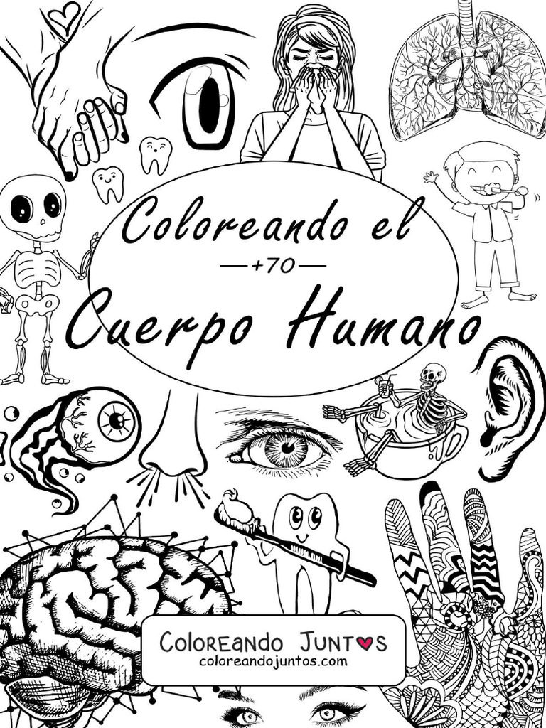 10 Libro para Colorear de Cuerpo Humano | PDF