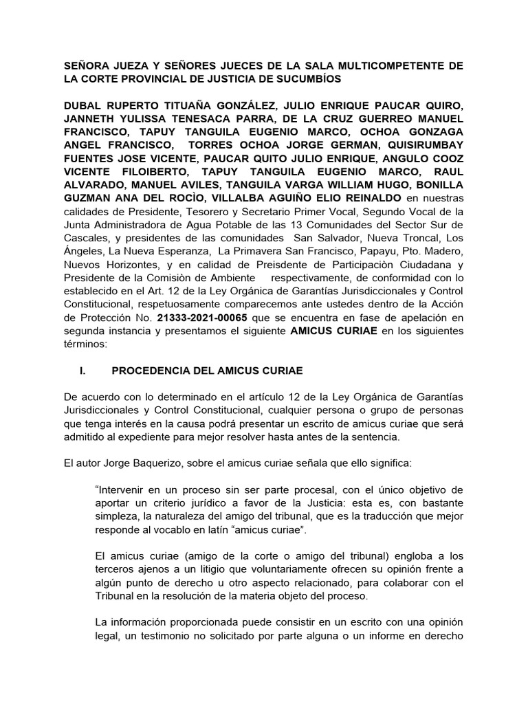 Significado de Amicus Curiae en Justicia | PDF | Apelación | Justicia