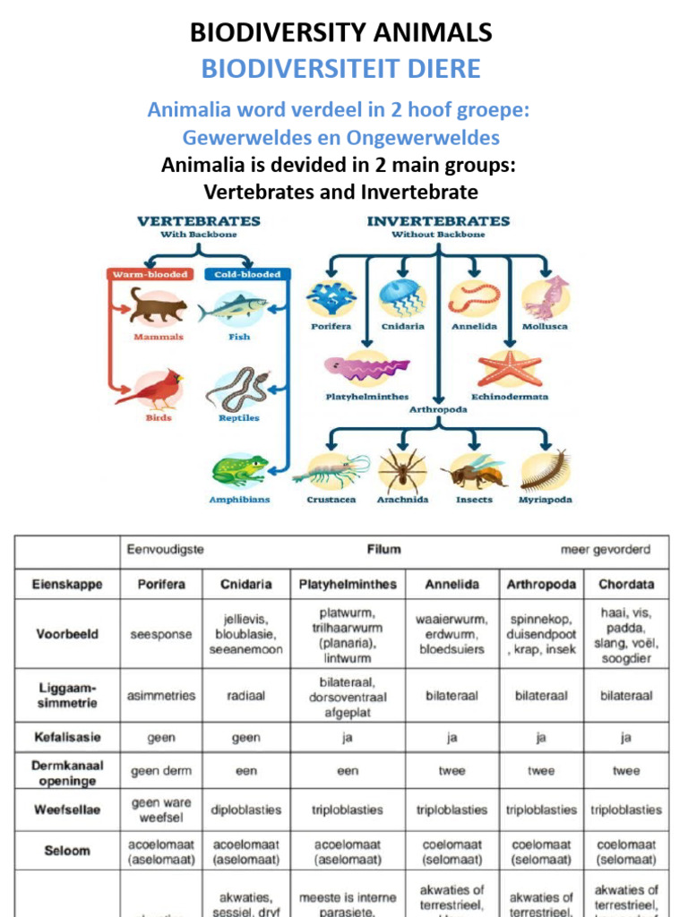 13 Biodiversity Animals-4 | PDF