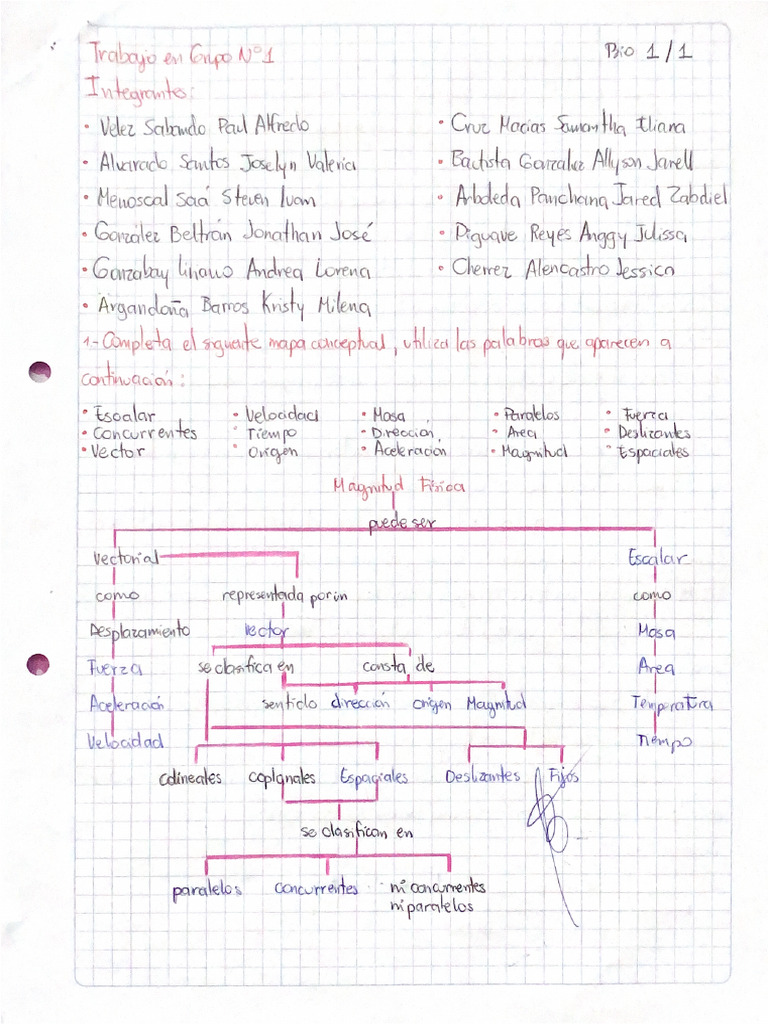 Trabajo Grupal Vectores | PDF