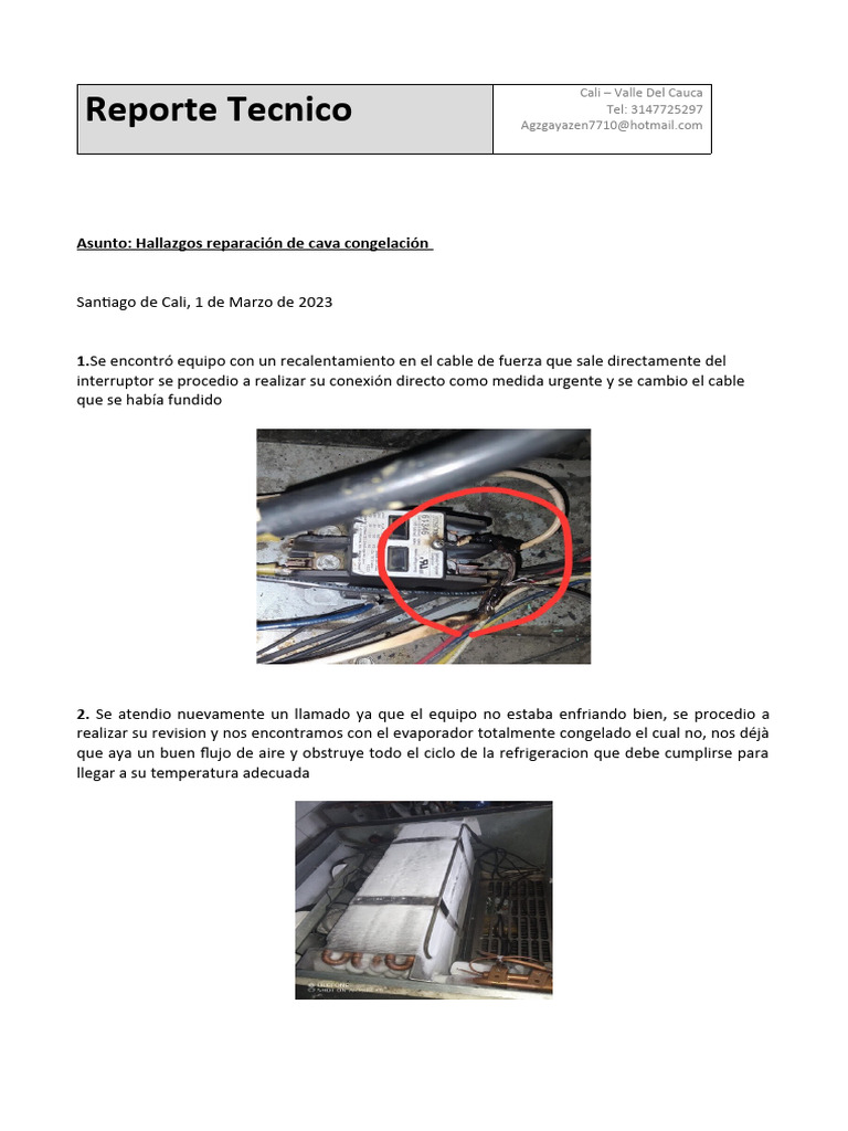 Reporte Tecnico | PDF
