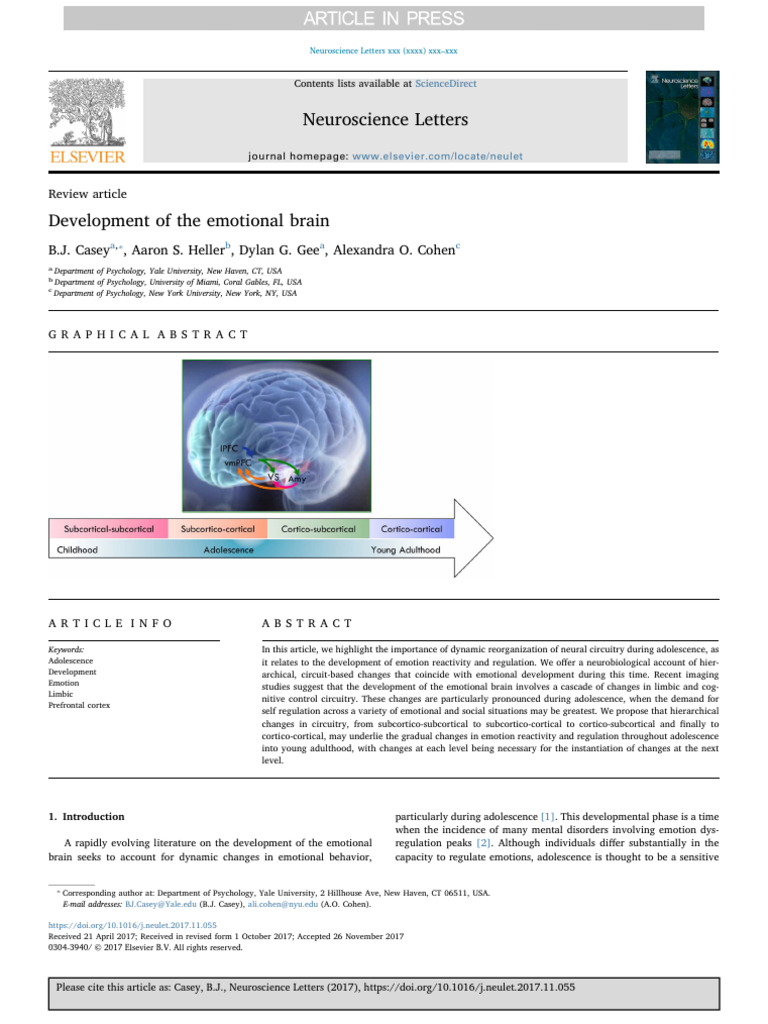 Emotional Brain Development in Adolescence | PDF | Prefrontal Cortex ...