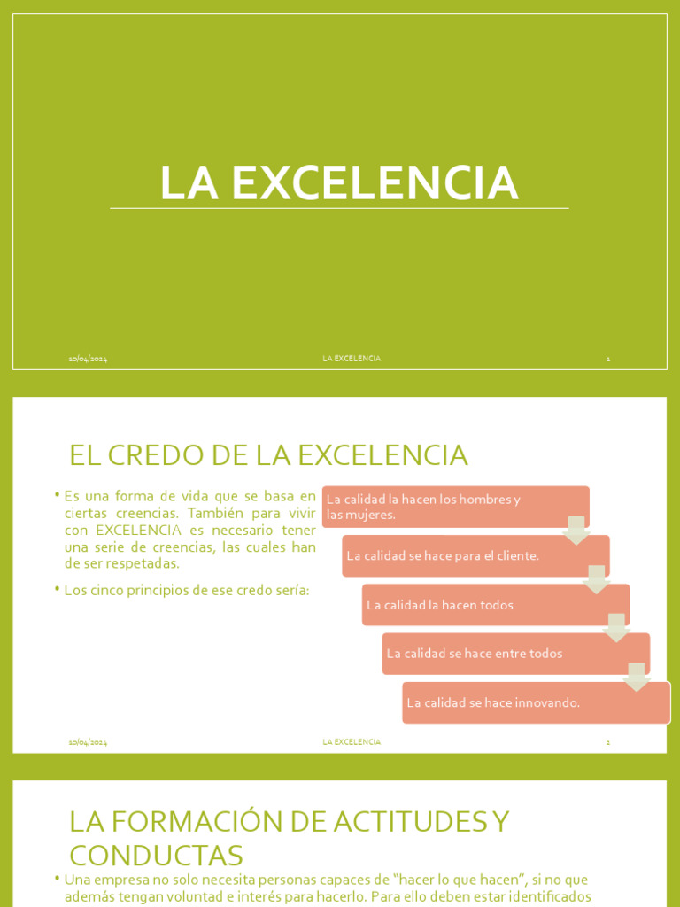 Principios de Excelencia Empresarial | PDF | Motivación | Motivacional