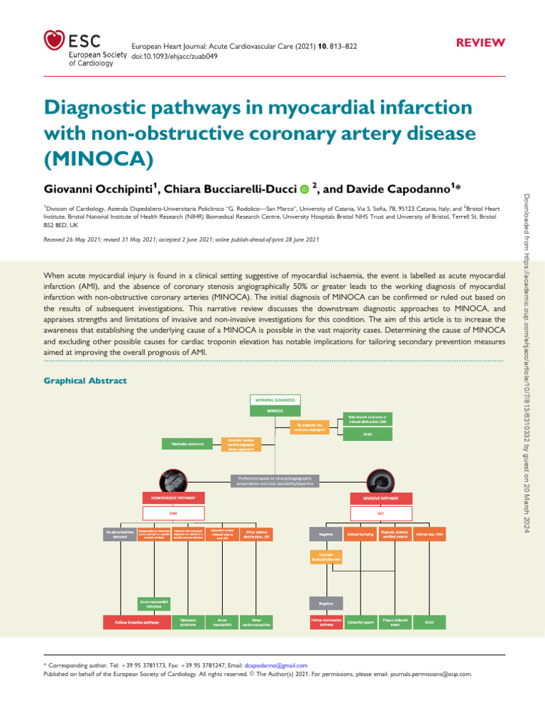 MINOCA | PDF | Myocardial Infarction | Coronary Artery Disease