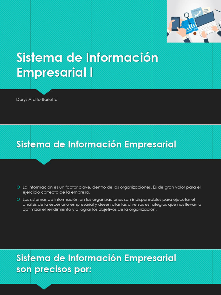 Importancia de Sistemas de Información | PDF