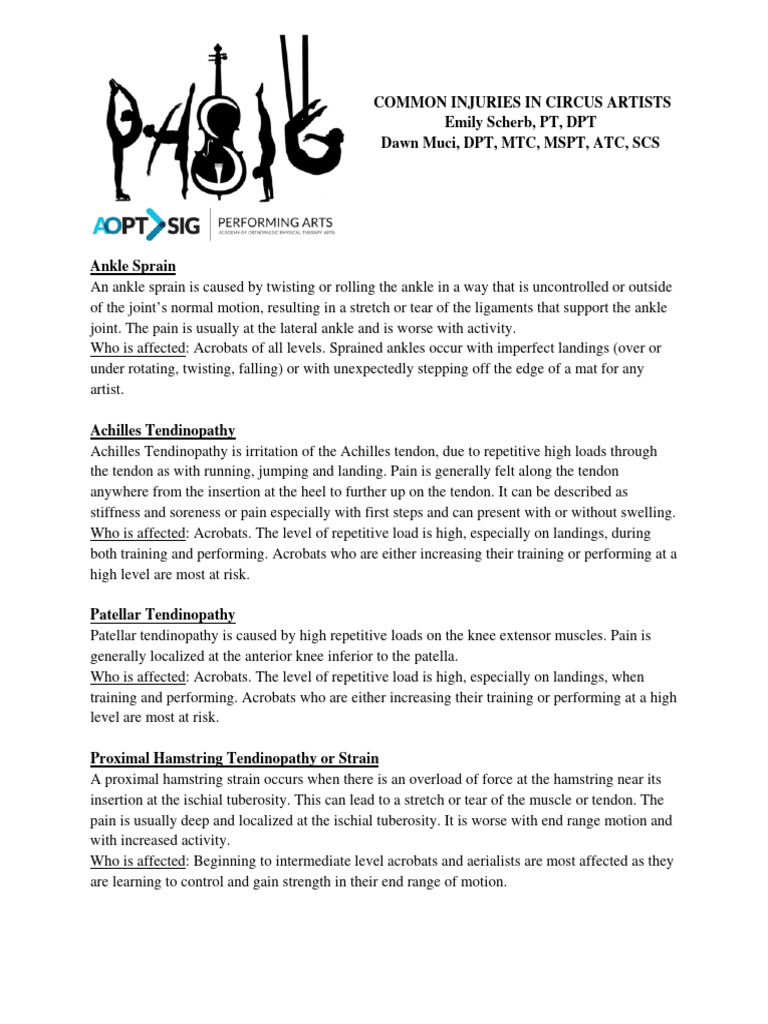 Common Injuries in Circus Artists PASIG 2020 | PDF | Ankle | Knee