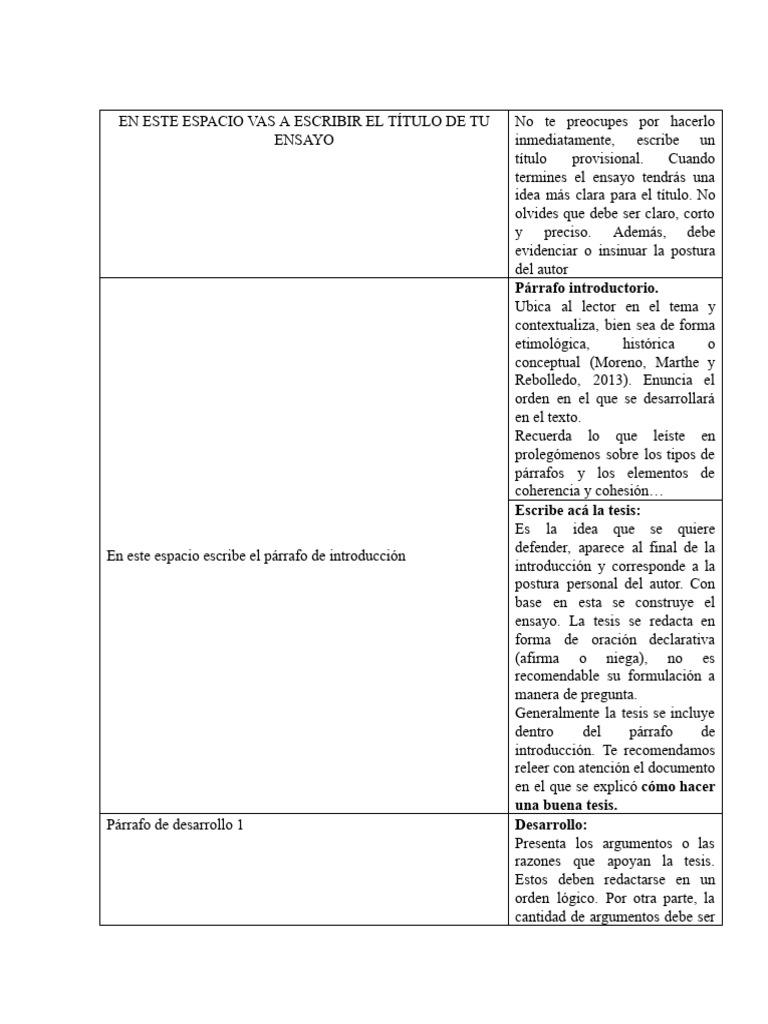 Esquema para La Escritura Del Ensayo | PDF | Ensayos