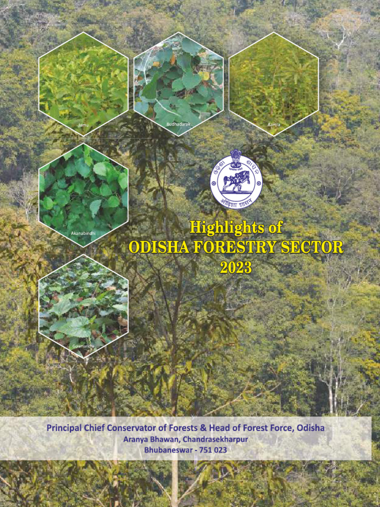 Odisha Forest Report 2023 | PDF