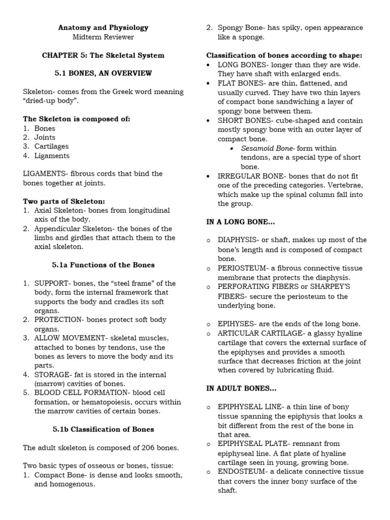 Chapter 5 - The Skeletal System | PDF | Vertebra | Vertebral Column