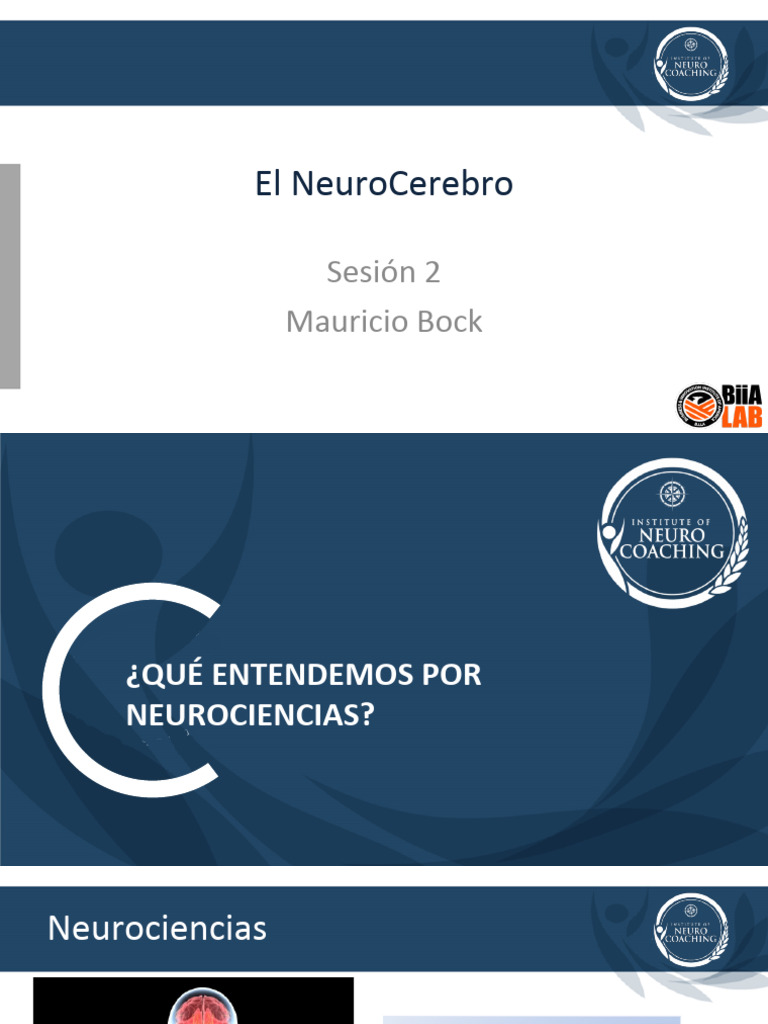 02,1COMO FUNCIONA LA MENTE | PDF | Neurociencia | Cerebro