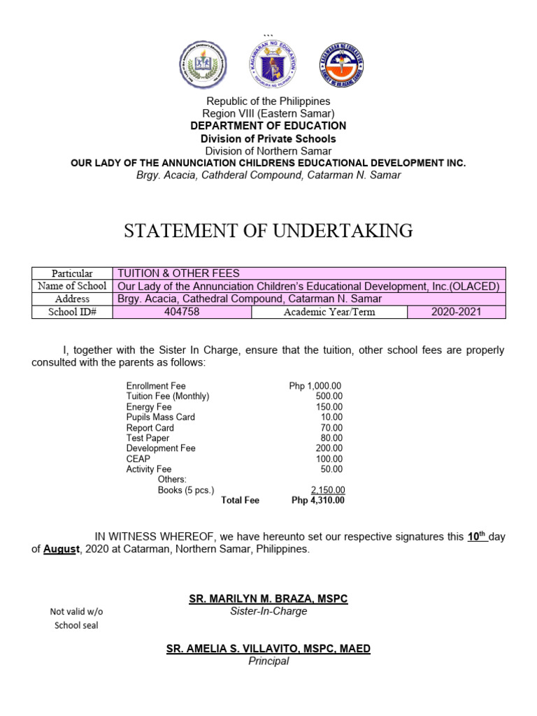 Statement of Undertaking Catarman | PDF | Learning | Teachers