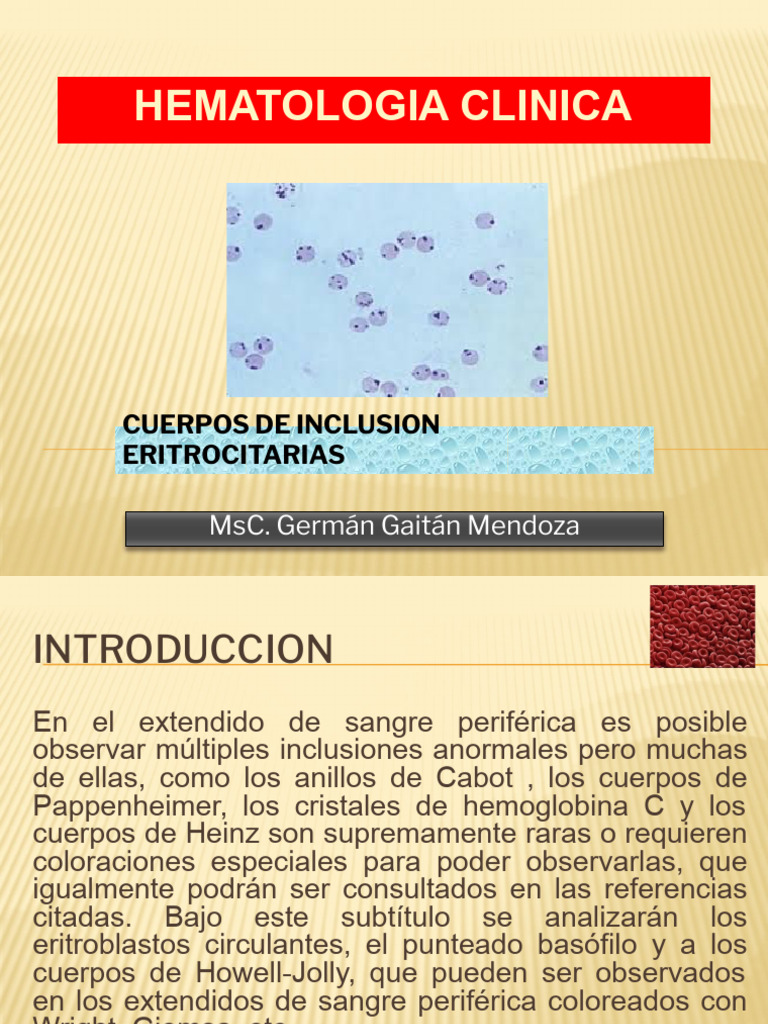 Inclusiones Eritrocitarias en Frotis Sanguíneo | PDF | Sangre ...