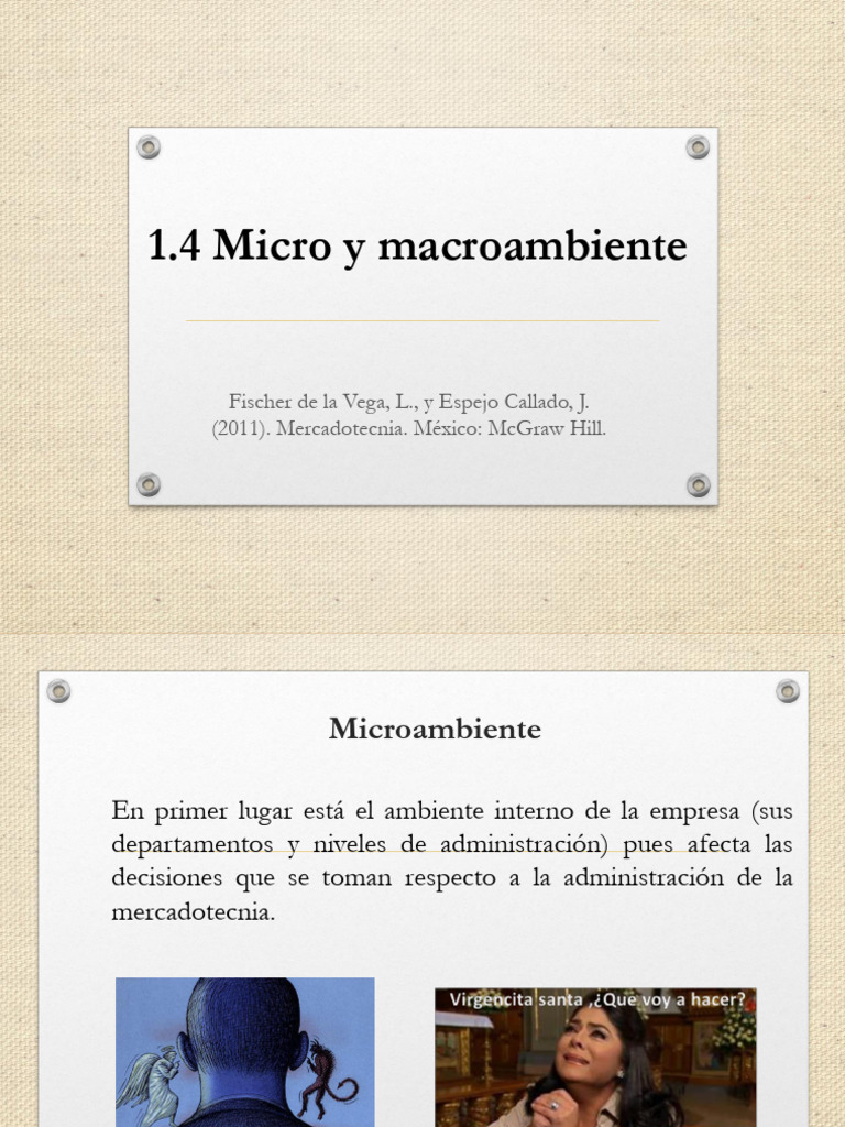 Micro y Macroambiente | PDF | Marketing | Business