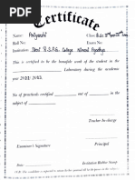 Practical Certificate | PDF