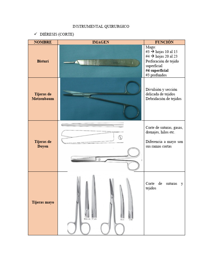 INSTRUMENTAL QUIRURGICO | PDF | Anatomía | Especialidades Medicas