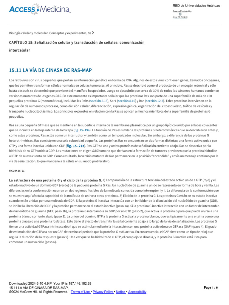 15.11 La Vía de Cinasa de Ras-Map | PDF | Quinasa | Transducción de señales