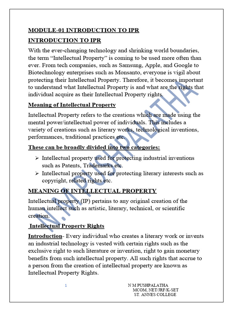 Intellectual Property Rights Notes (PNM) | Download Free PDF ...