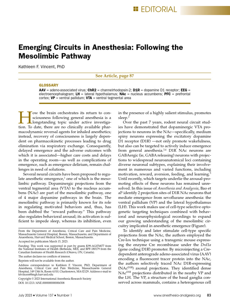 Emerging Circuits in Anesthesia - Following The Mesolimbic Pathway ...