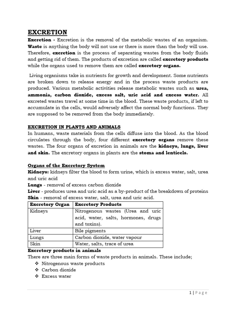 EXCRETION | PDF | Kidney | Excretion