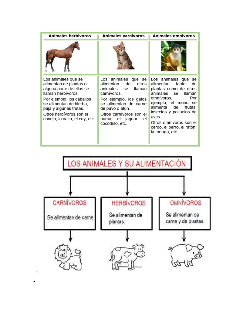 Clasificación de Animales: Carnívoros, Herbívoros y Omnívoros | PDF