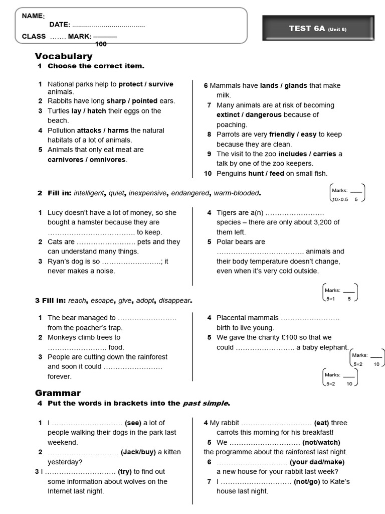 26 OnScreen 1 Test 6A | PDF | Zoo | Pet