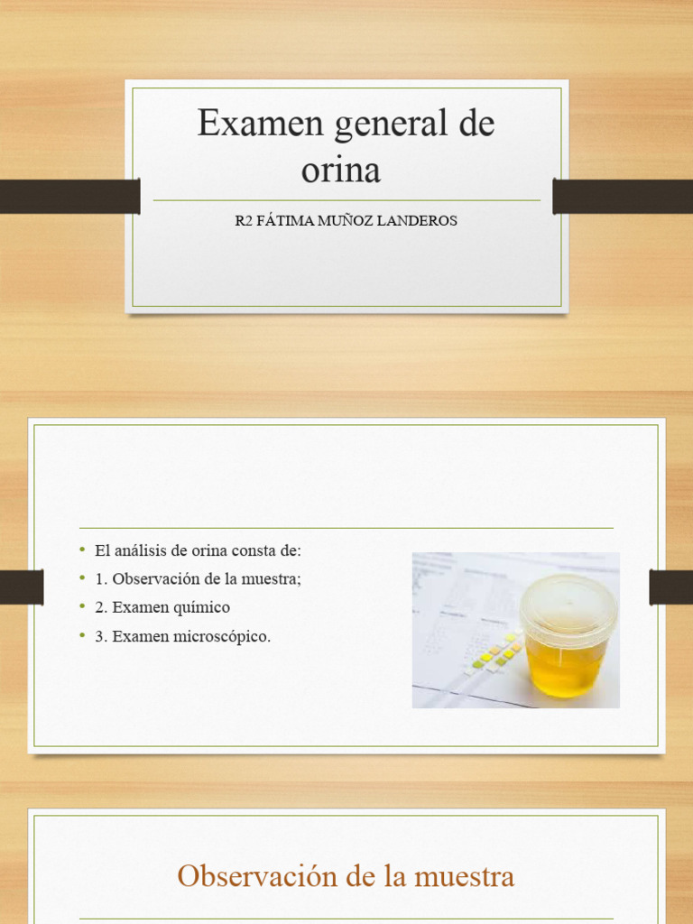 Ego. Nefro | PDF | Orina | Urología
