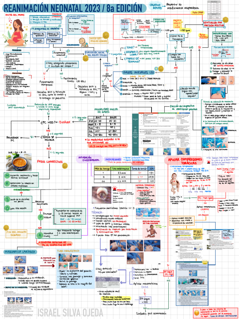 RENEO | PDF | La salud de la mujer | Parto