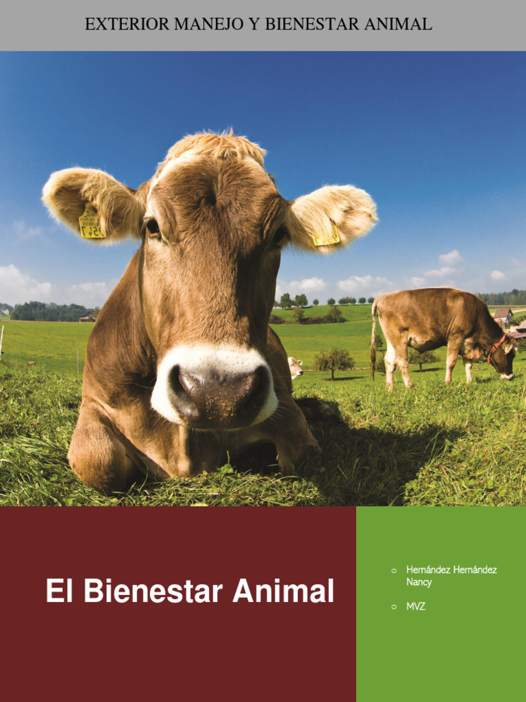 Bienestar Animal | PDF | Bienestar de los animales | Medicina Veterinaria